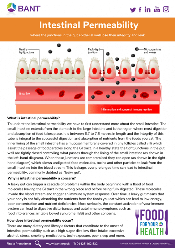 Getting To Grips With Gut Health: The Doom Of Dysbiosis - Part 2 – BANT