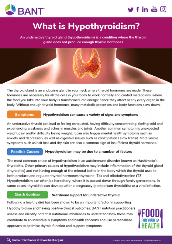 The Link Between Thyroid Health And Weight Gain – BANT